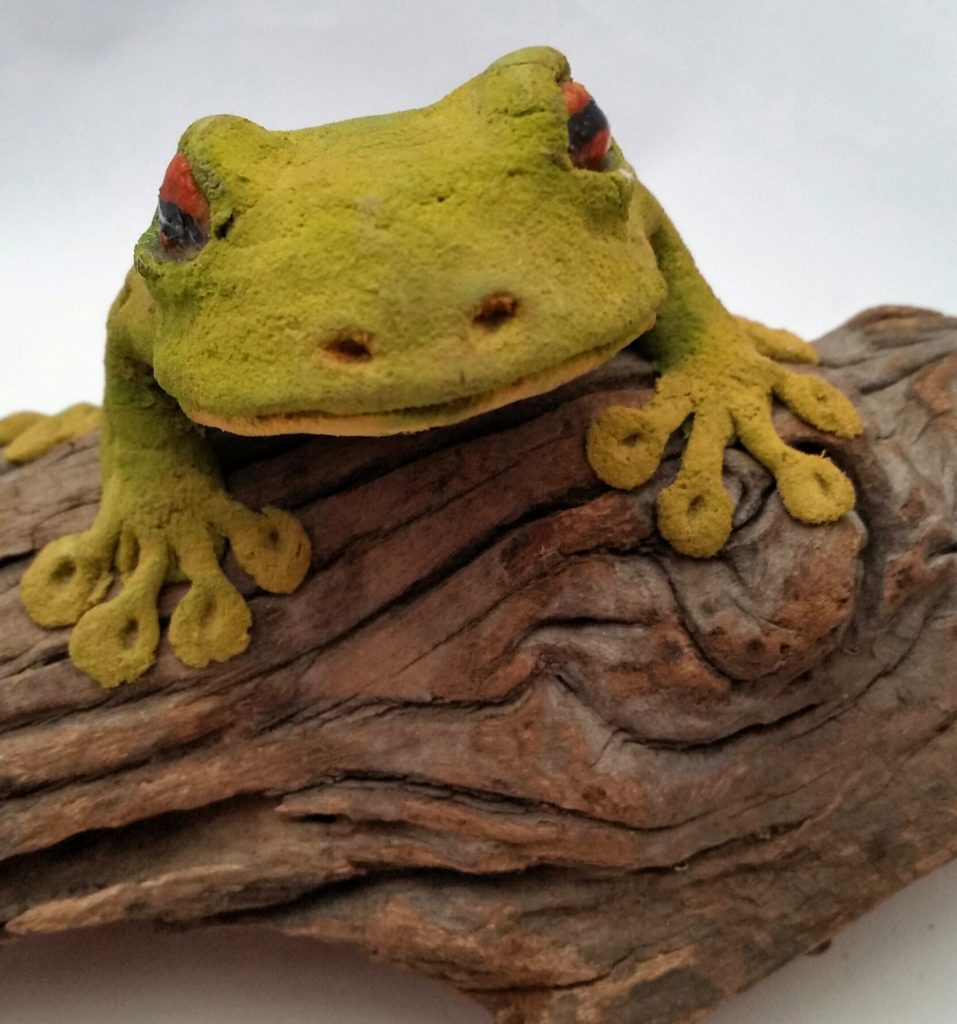 Frog on a Log - Z Fabrique